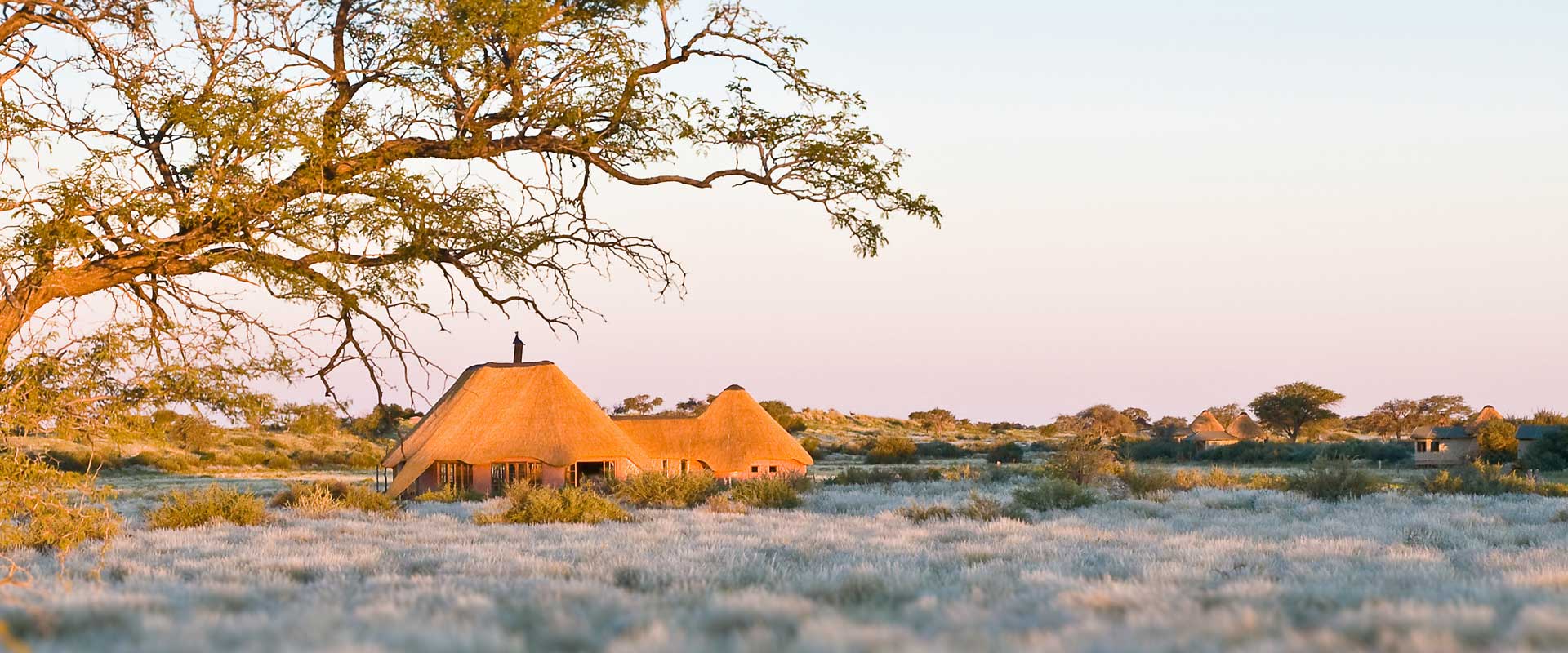Kalahari Red Kalahari Red Dunes Lodge Home